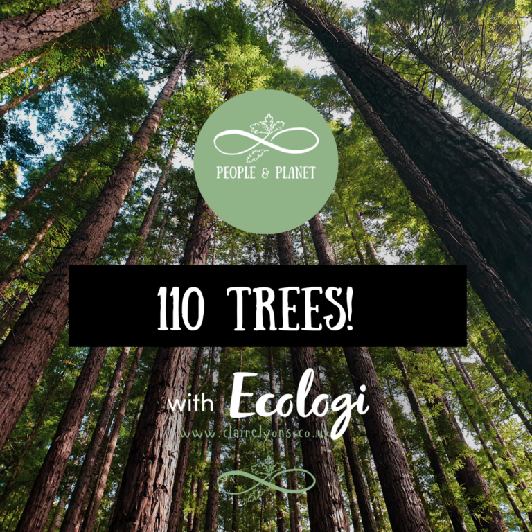 Ecologi Projects - Claire Lyons